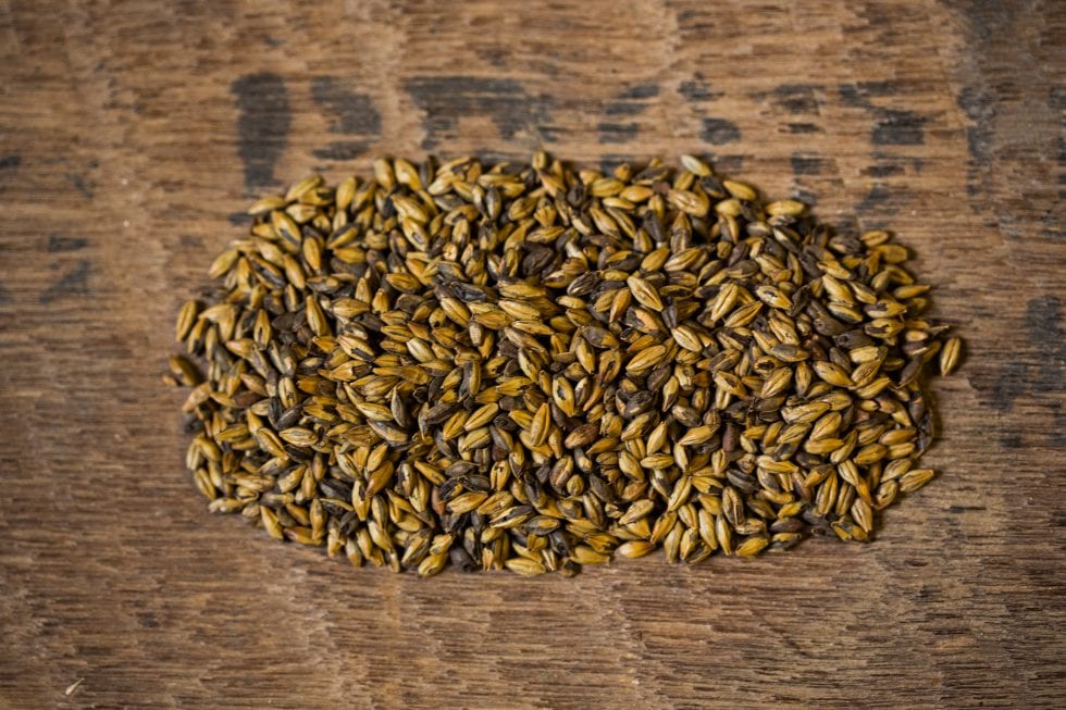 The Malt Process - Bairds Malt
