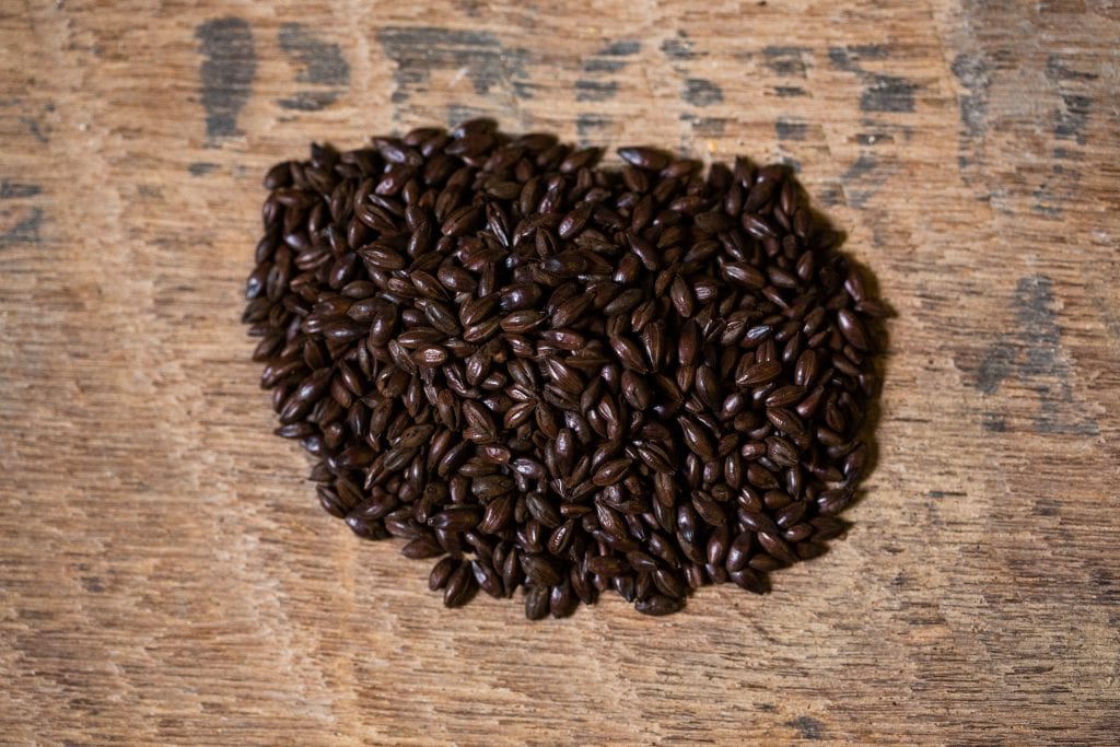 Black Malt - Bairds Malt