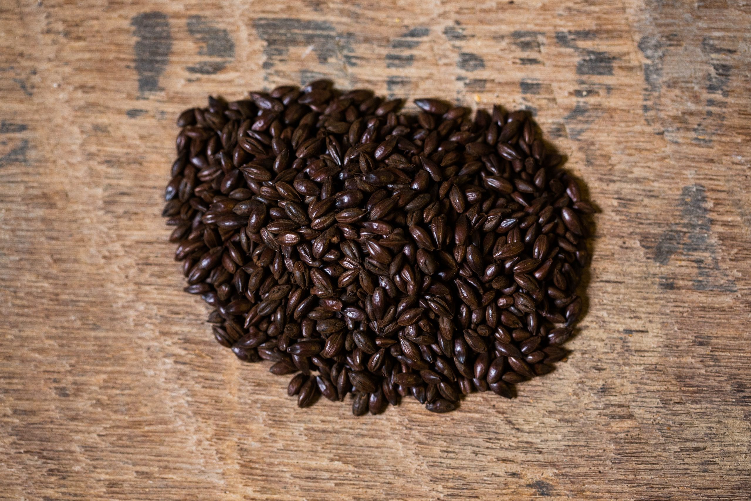 Black Malt - Bairds Malt