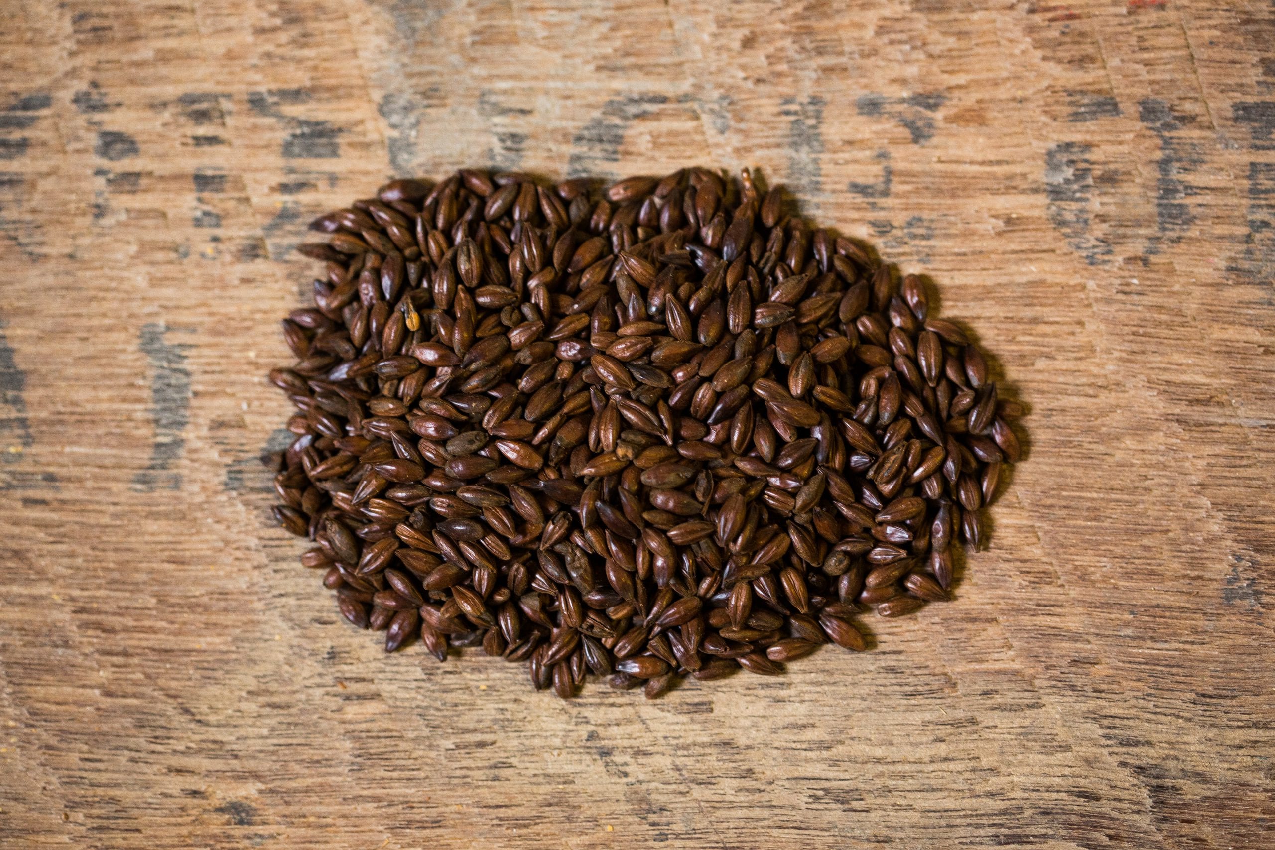 Chocolate Malt - Bairds Malt